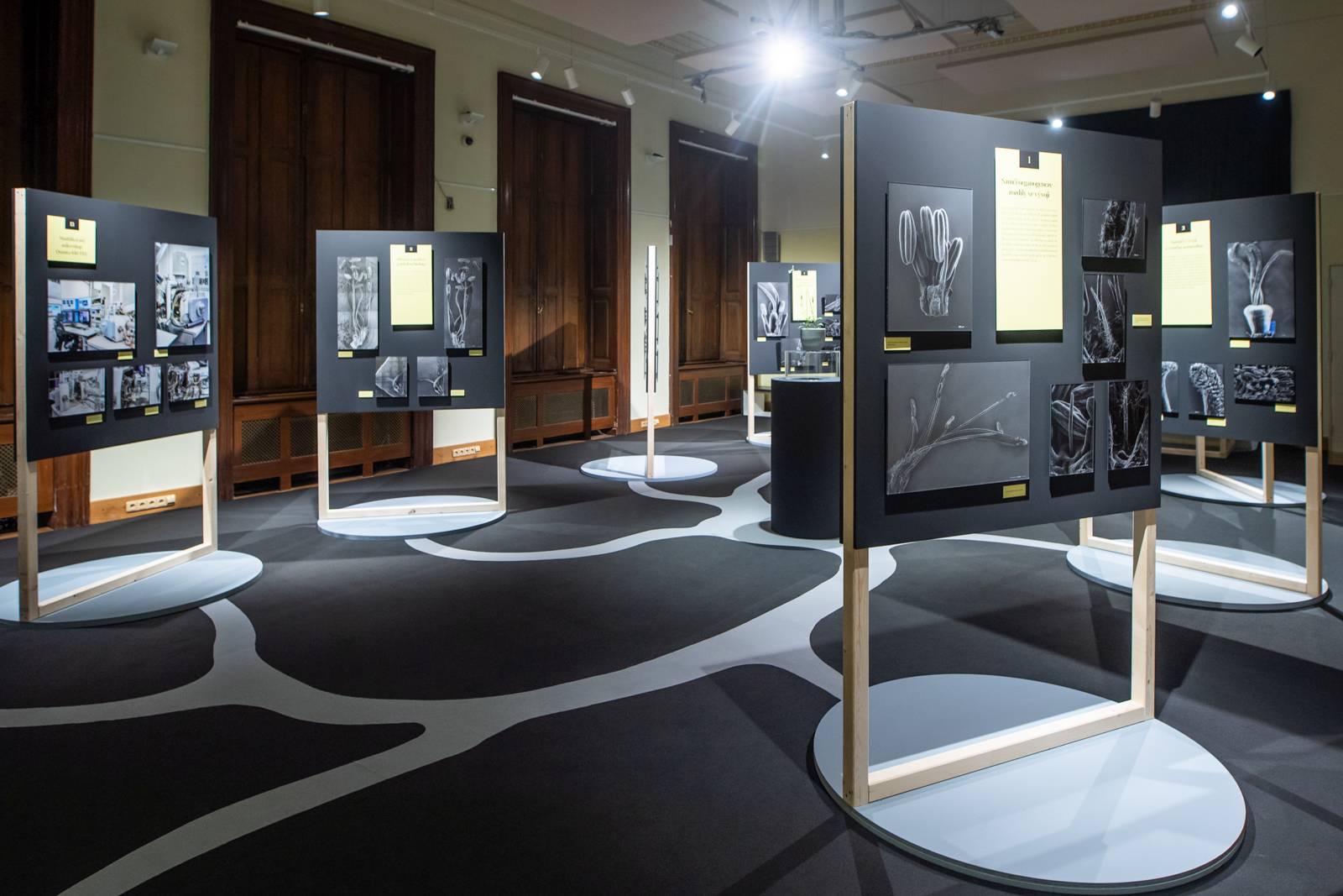 Obnažená důmyslnost evoluce. Nová výstava ukazuje květy do nebývalých ...