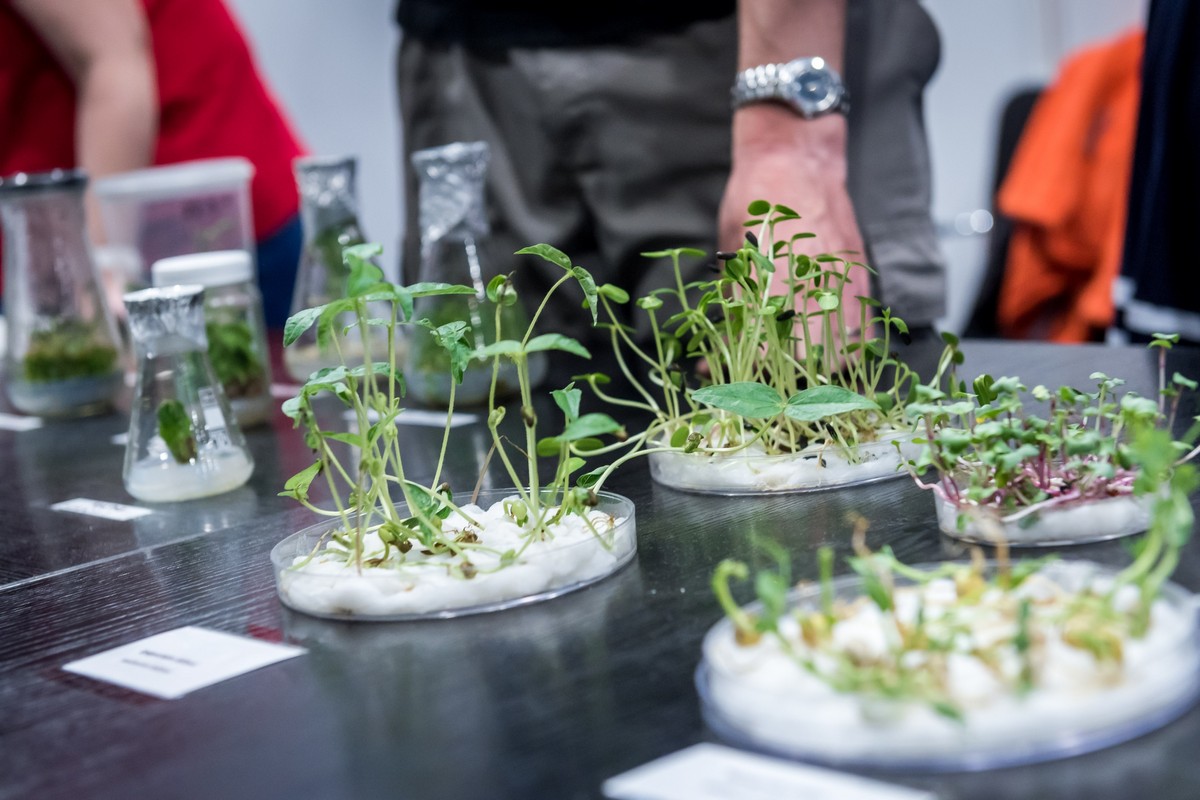 Skončil Veletrh vědy, největší populárně-naučná akce v Česku - Akademie ...