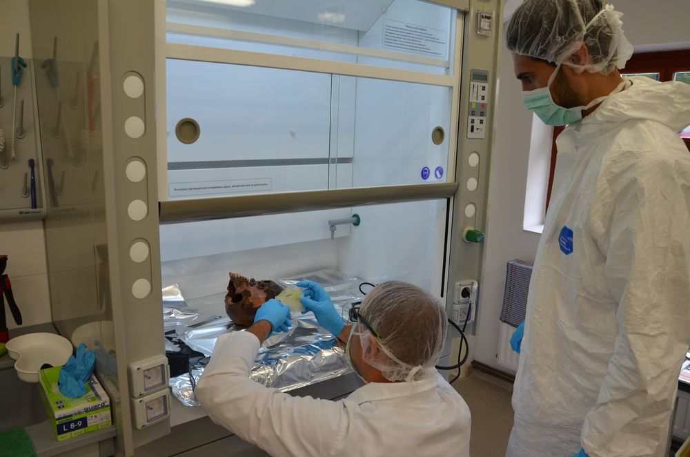 Čerstvý nobelista spolupracuje i s Archeologickým ústavem AV ČR v Brně ...